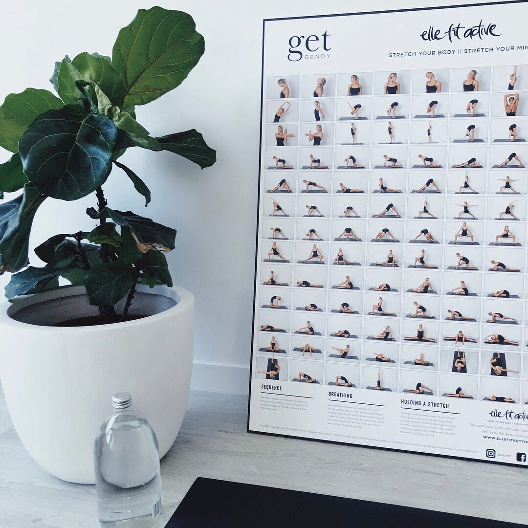 GET BENDY | STICK, MOUNT, FRAME – Elle Fit Active